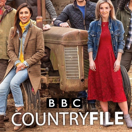 BBC County File - Halo Vue
